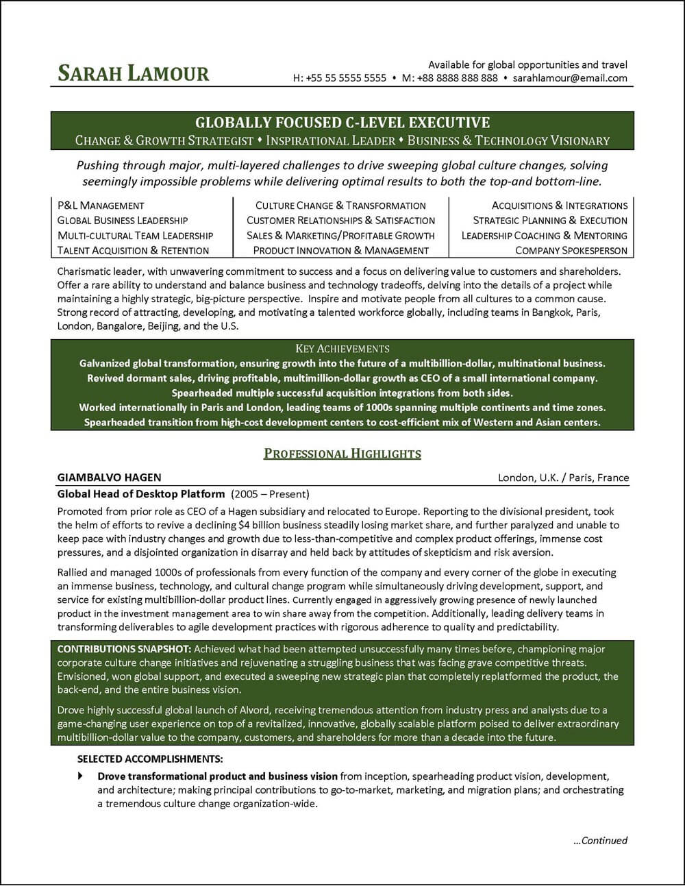 C Level Executive Resume Example Distinctive Documents