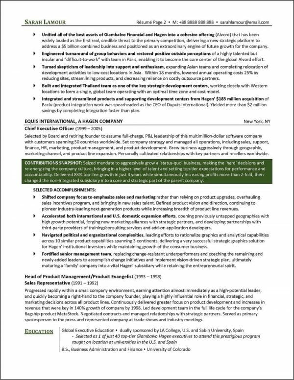 C Level Resume Template Word