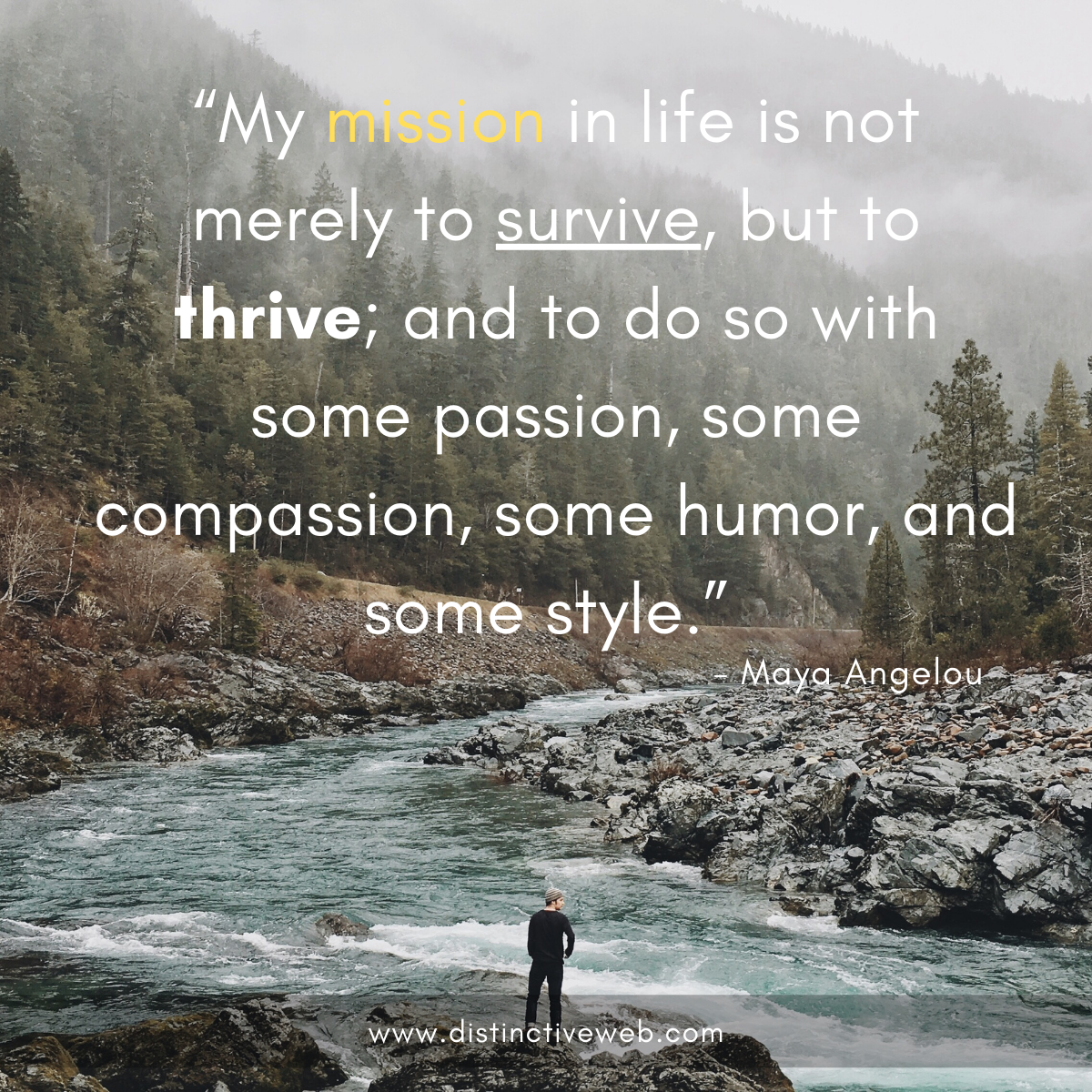 15 Quotes to Inspire You to Live a Life of Passion - Distinctive Career ...